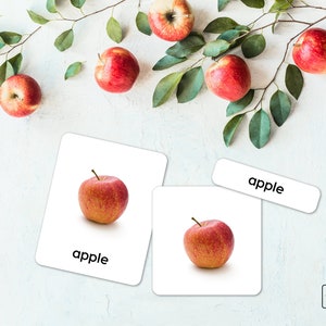 FRUITS Montessori 3-part Cards Multilingual and With Realistic Photos ...