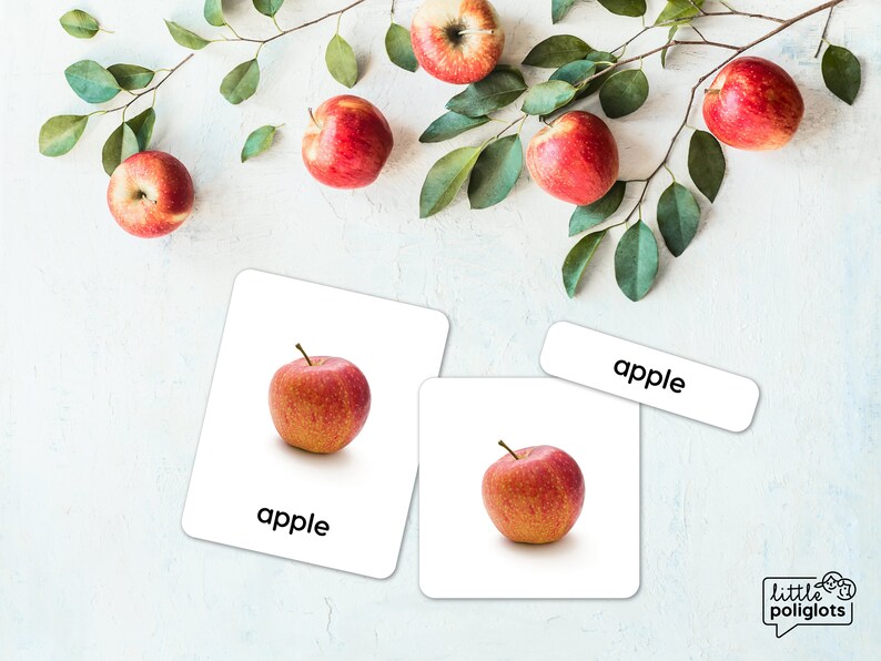 FRUITS Montessori 3-part Cards Multilingual and With Realistic Photos ...