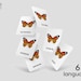 SPRING Montessori 3-part Cards Multilingual and With Realistic Photos ...