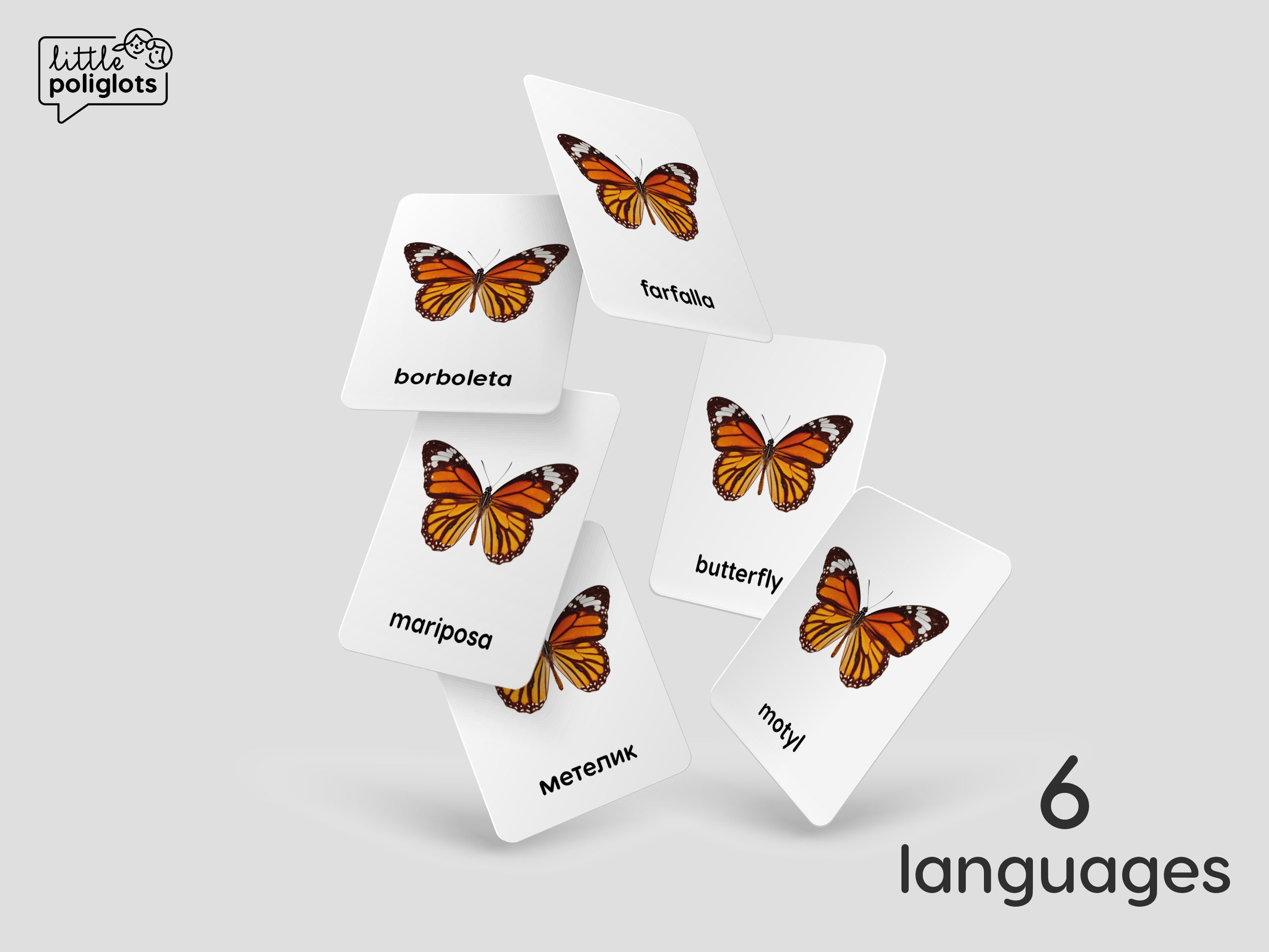 SPRING Montessori 3-part Cards Multilingual and With Realistic Photos ...