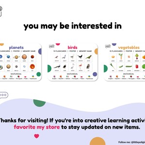 FRUITS Montessori 3-part Cards Multilingual and With Realistic Photos ...