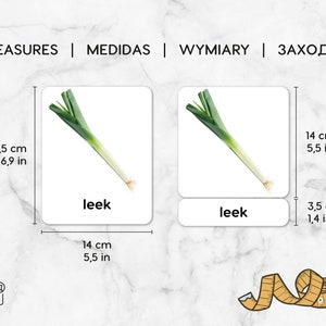 VEGETABLES Montessori 3-part Cards Multilingual and With Realistic ...