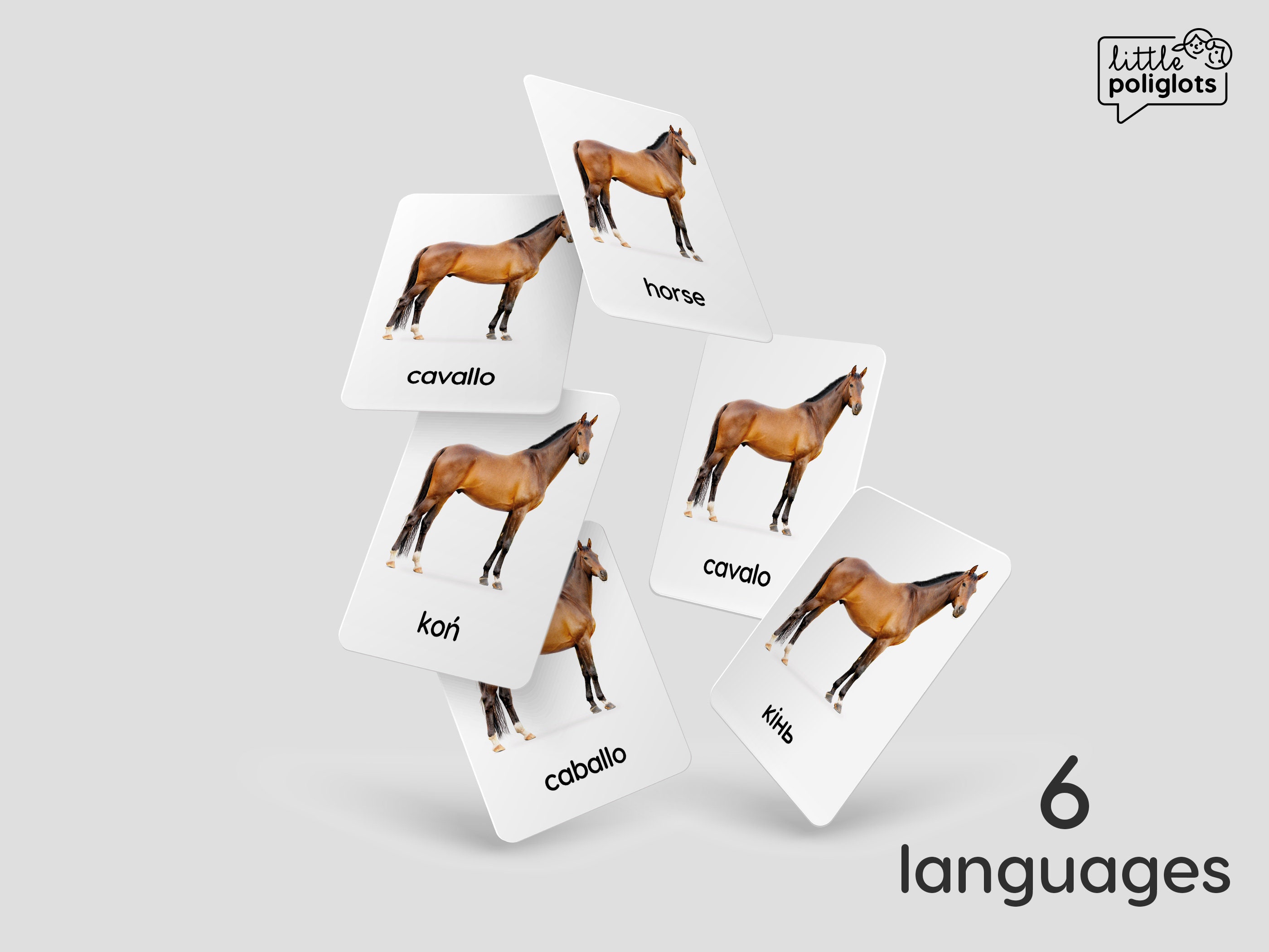 FARM ANIMALS Montessori 3-part Cards Multilingual and With Realistic ...