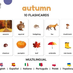 AUTUMN Montessori 3-part Cards Multilingual and With Realistic Photos ...