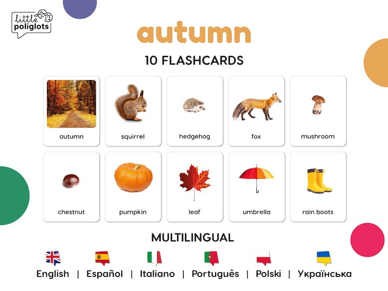 AUTUMN Montessori 3-part Cards Multilingual and With Realistic Photos ...