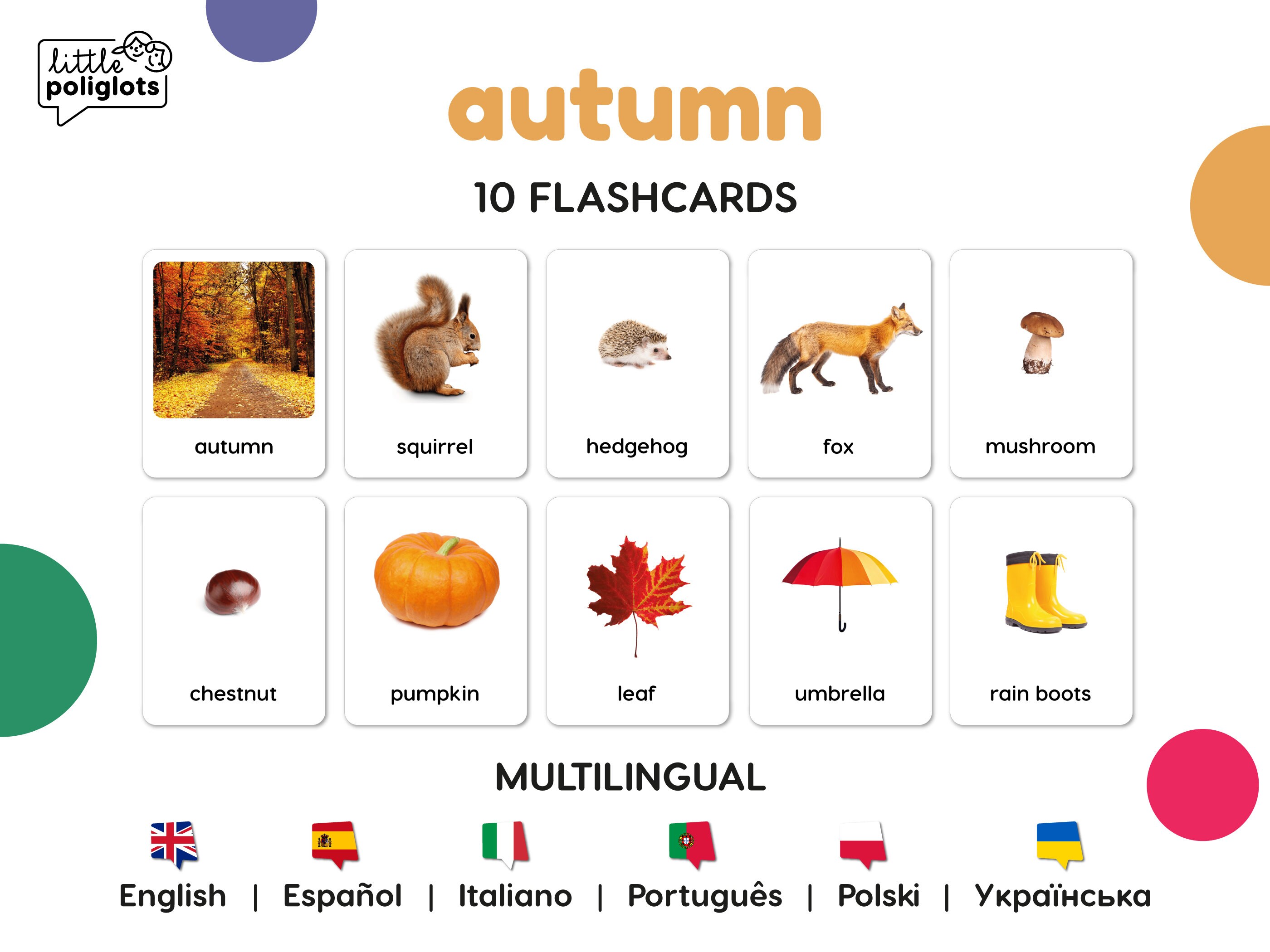 AUTUMN Montessori 3-part Cards Multilingual and With Realistic Photos ...