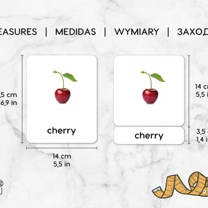 FRUITS Montessori 3-part Cards Multilingual and With Realistic Photos ...