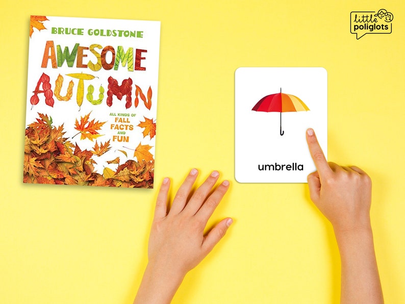 AUTUMN Montessori 3-part Cards Multilingual and With Realistic Photos ...