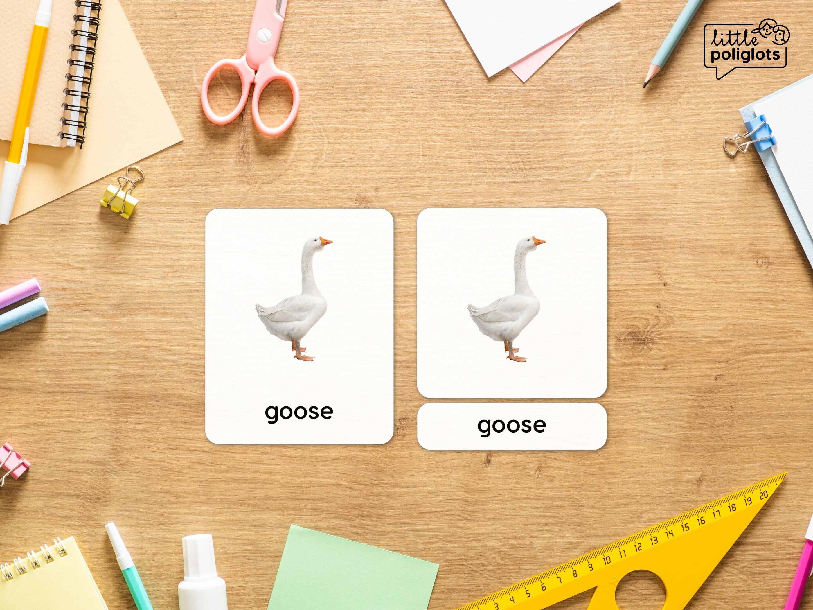 FARM ANIMALS Montessori 3-part Cards Multilingual and With Realistic ...