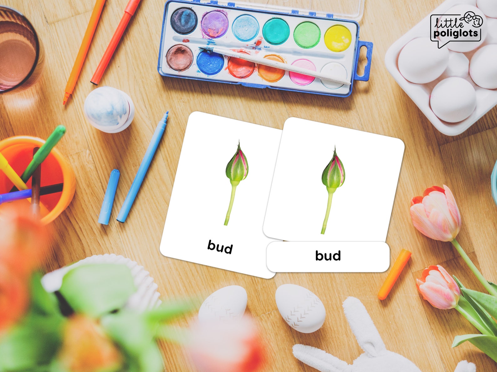 SPRING Montessori 3-part Cards Multilingual and With Realistic Photos ...