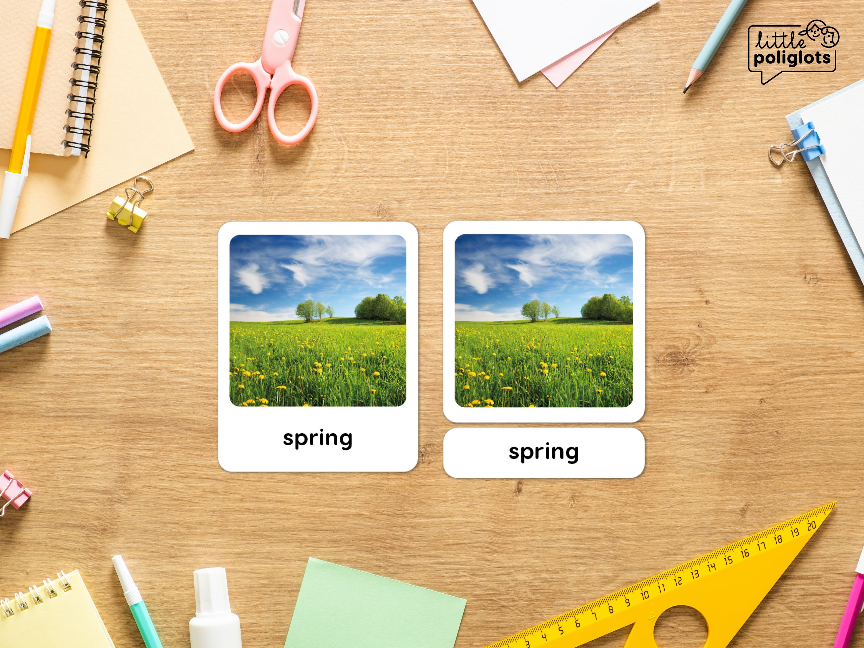 SPRING Montessori 3-part Cards Multilingual and With Realistic Photos ...
