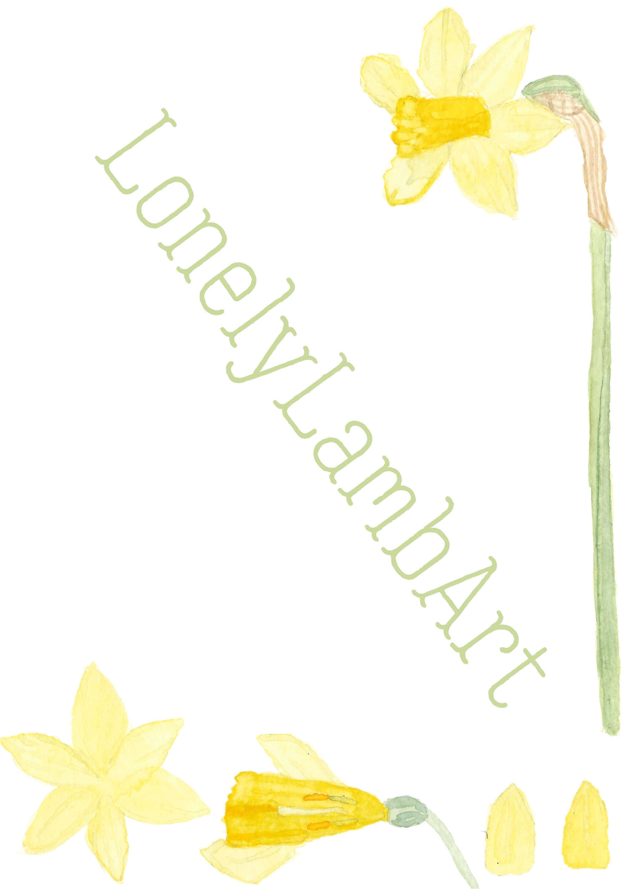 Watercolour Daffodil Letter Writing Set, Floral Printable Letter Paper ...