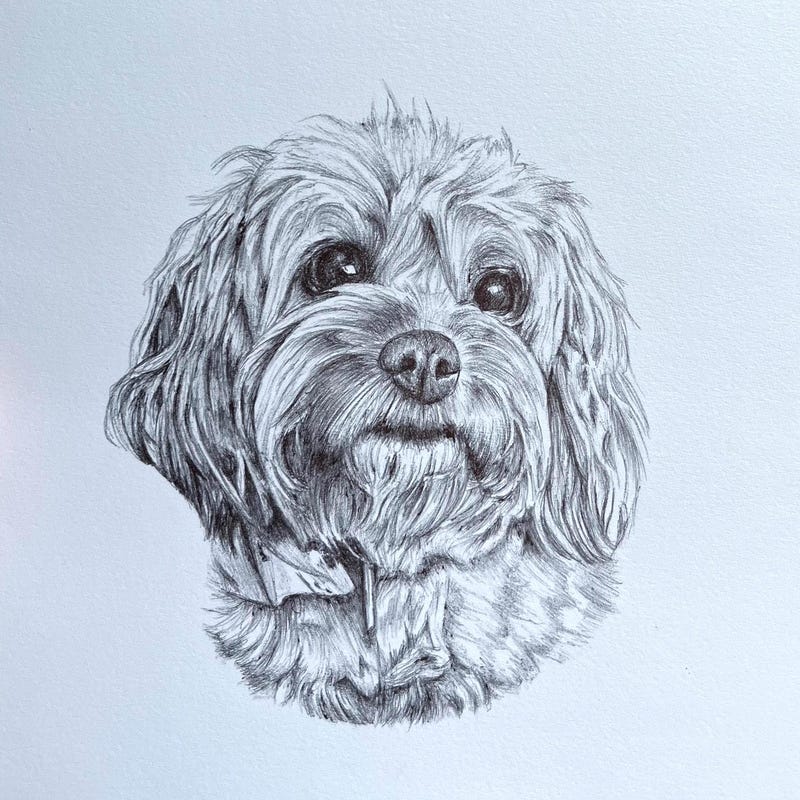 Biro Art - Etsy UK
