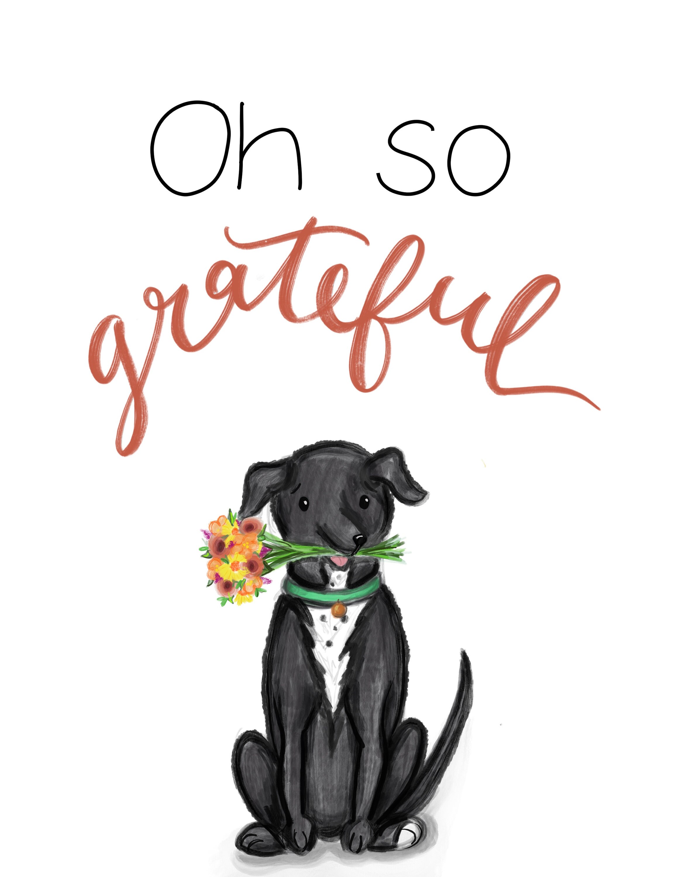 Oh so Grateful Card, Grateful for You, Dog Thank You Card - Etsy