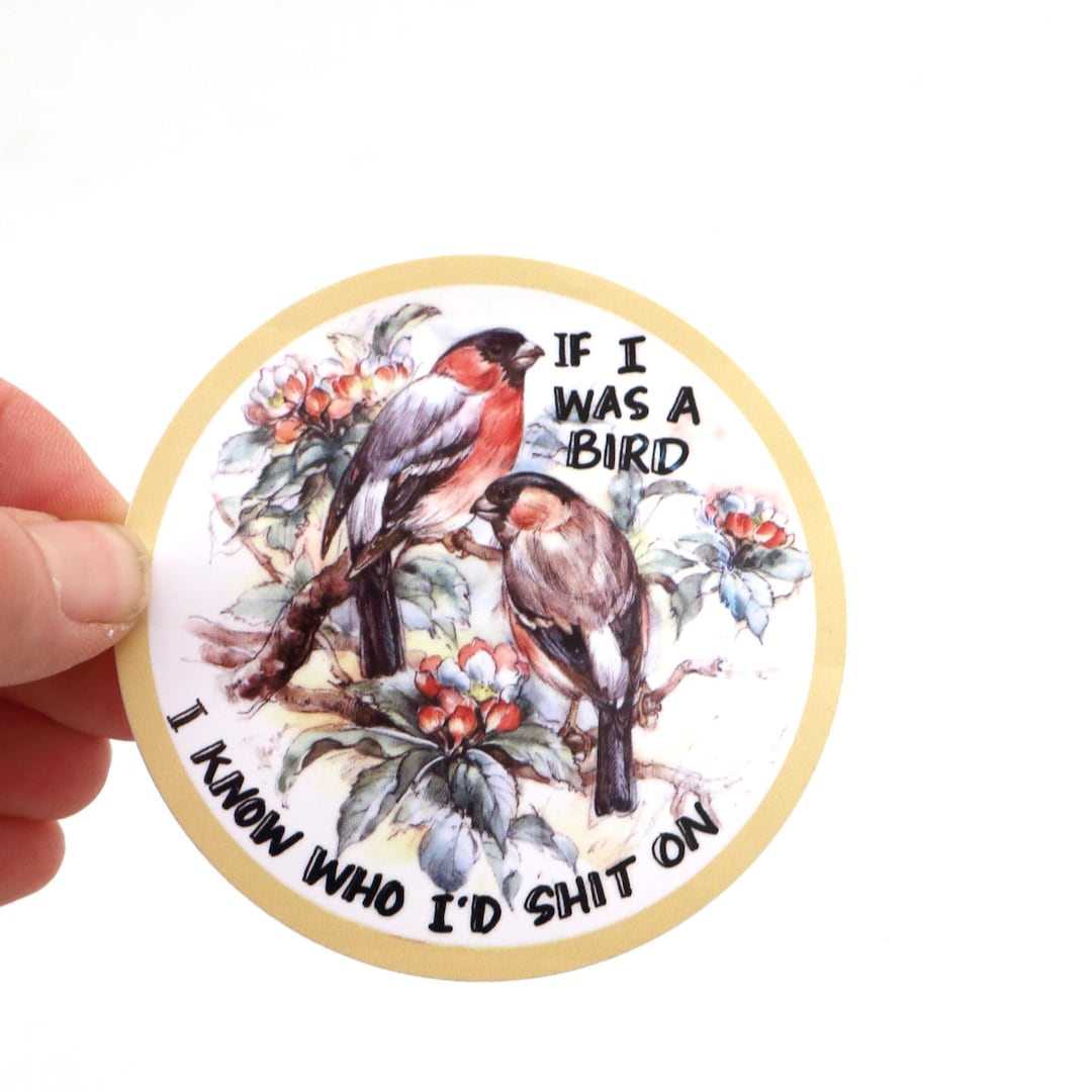 Funny Bird Sticker, 3 X 3 Sticker, Ships Free With Another Item - Etsy