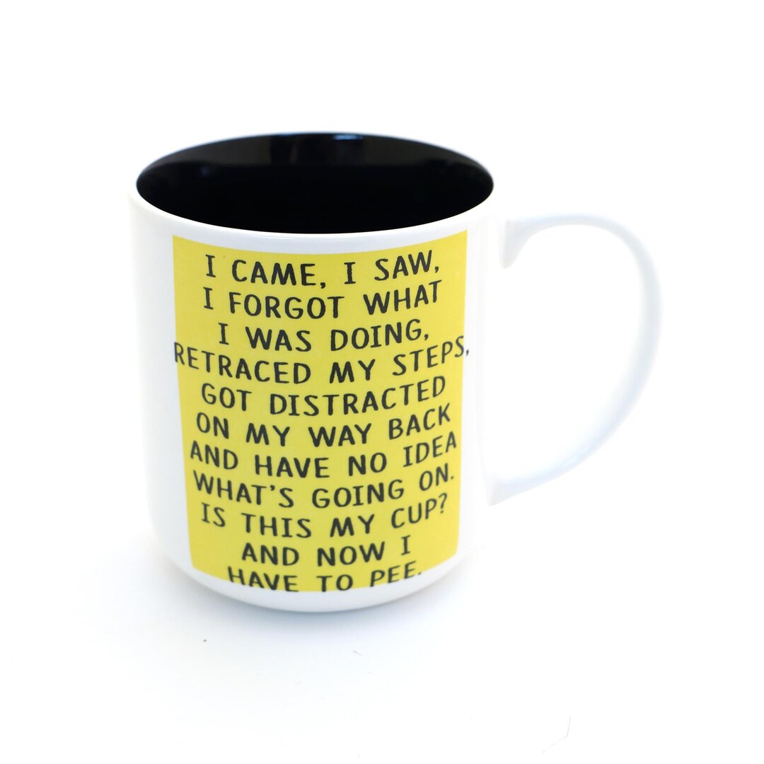 I Came I Saw Mug, Funny Over the Hill Birthday, 40th Adulting Forgetful ...