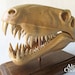 Synapsid Skull, Dimetrodon, Dinosaurus Skull, Woodcarving, Loft, a Gift ...