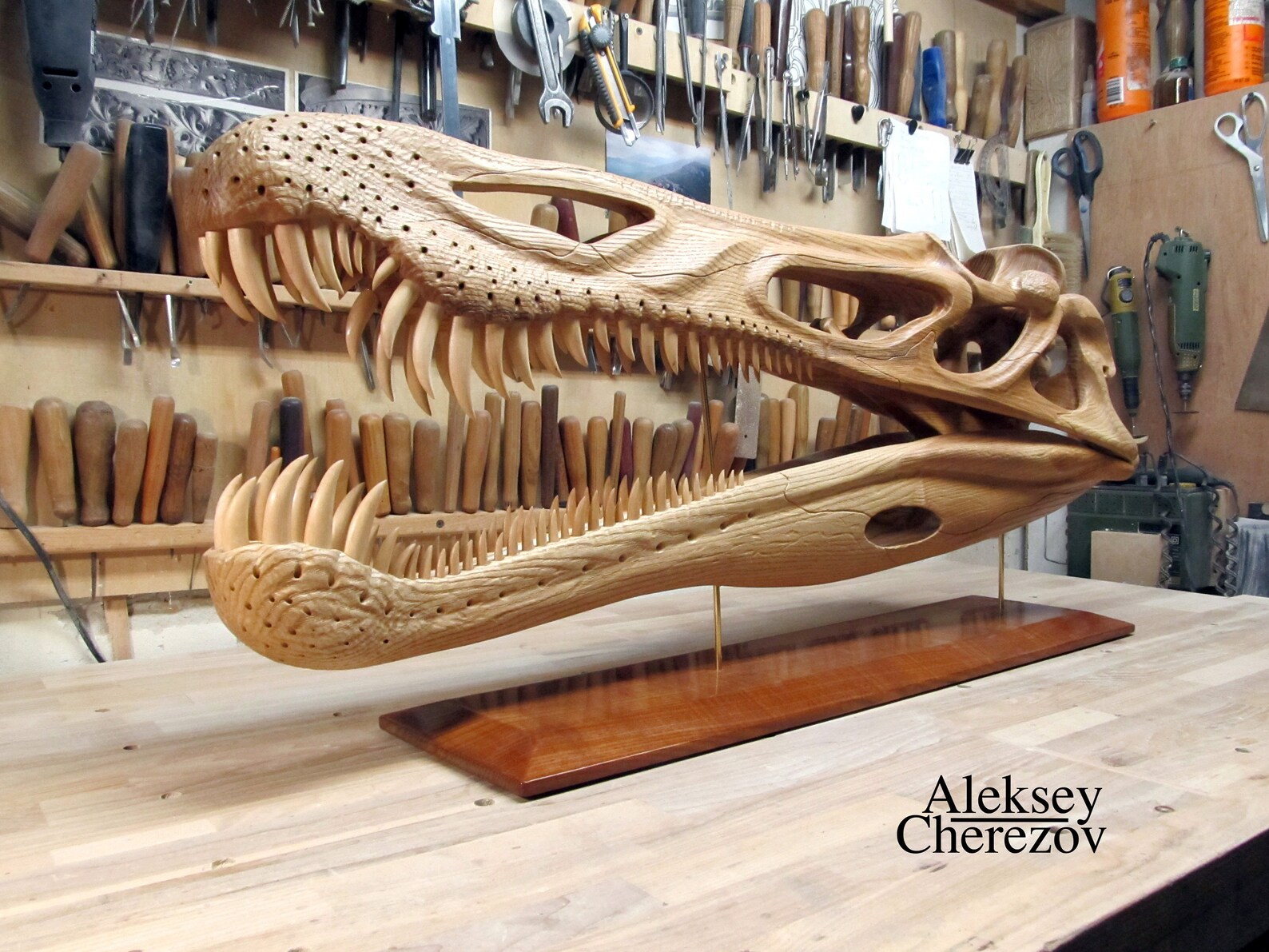 Suchomimus Dinosaurus Skull paleontologi Paleoart. - Etsy