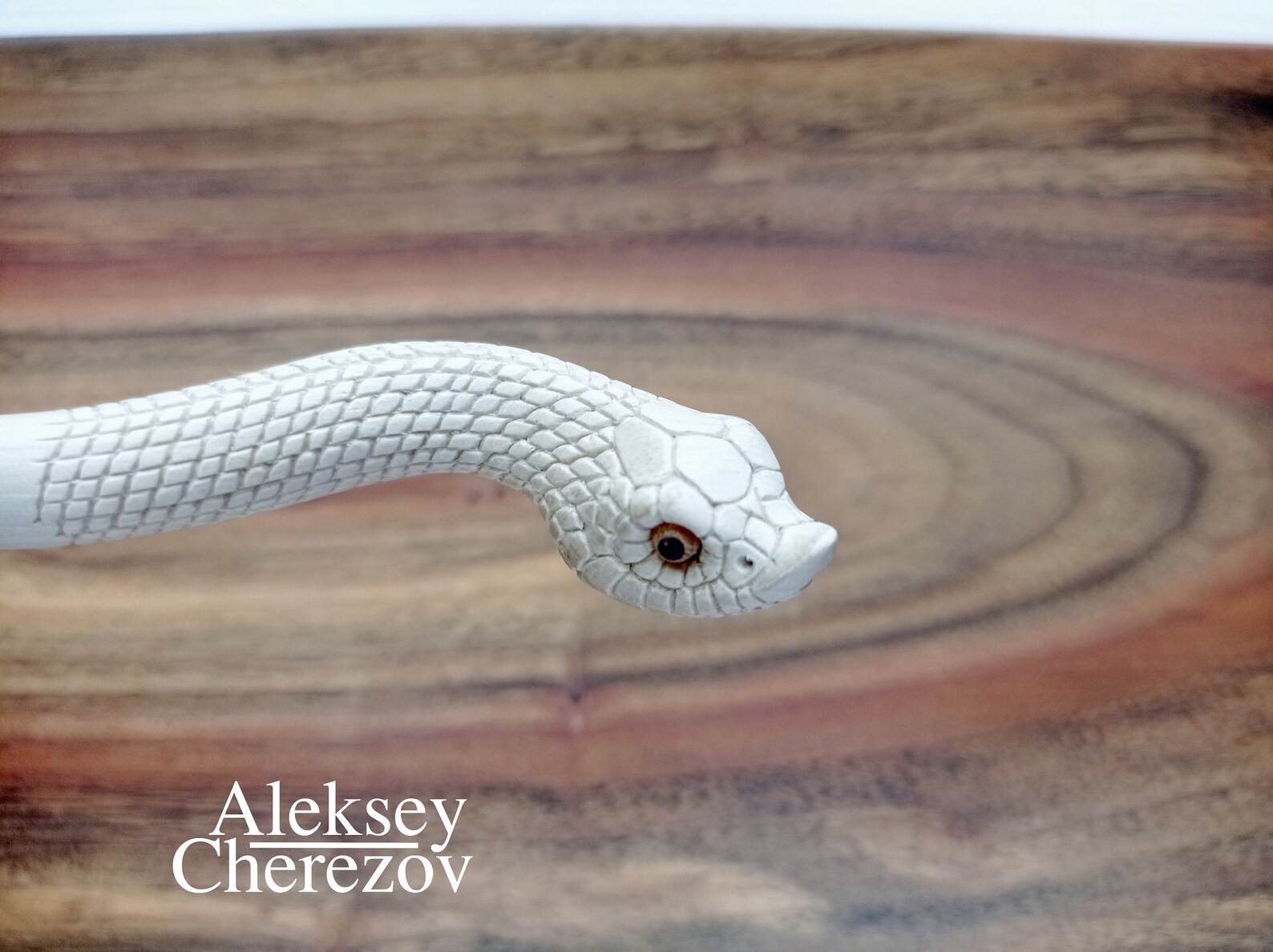 Snake Hair Stick Wooden Hair Pin Serpent Gift for a Girl - Etsy