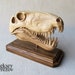 Synapsid Skull, Dimetrodon, Dinosaurus Skull, Woodcarving, Loft, a Gift ...