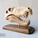 Synapsid Skull, Dimetrodon, Dinosaurus Skull, Woodcarving, Loft, a Gift ...