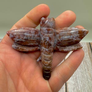 Ocean Jasper Dragonfly Crystal | Connect to Nature | Crystals for ...