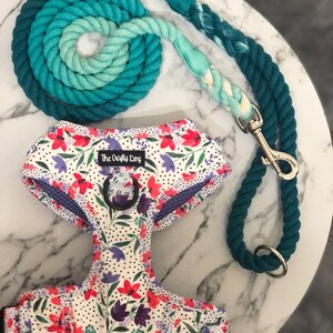 The Crafty Dog Co - Can't Stop the Tealin' Rope Lead Teal - Etsy