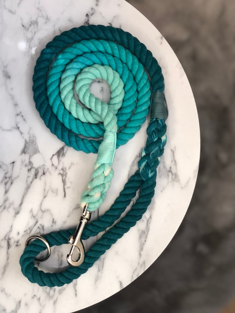 The Crafty Dog Co Can't Stop the Tealin' Rope Lead | Etsy