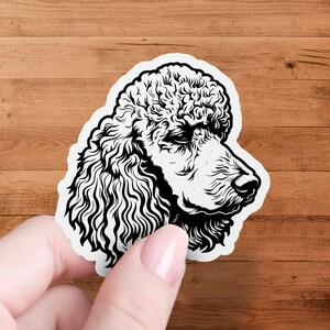 Intricate Poodle Head Illustration SVG Design File - Etsy