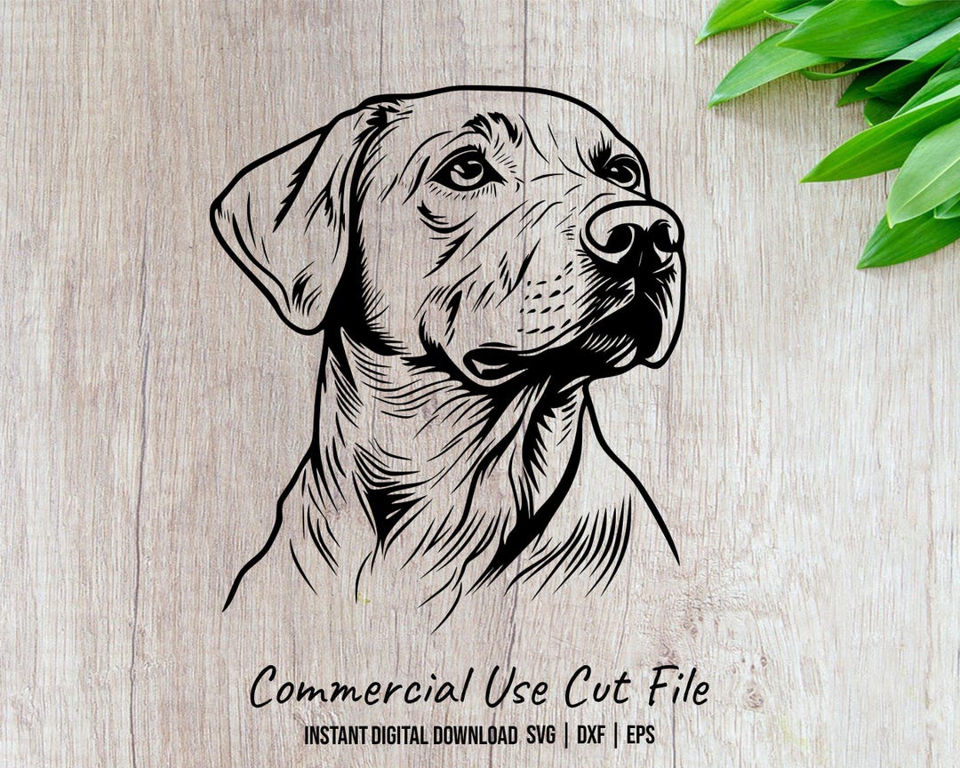 Labrador Retriever Outline Art SVG Design - Etsy