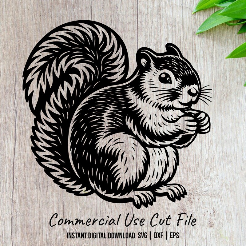 Squirrel Svg - Etsy