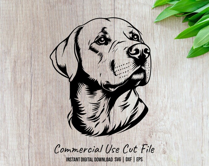 Labrador Outline SVG: Dog Line Art, Cricut Cut File (digital Download ...