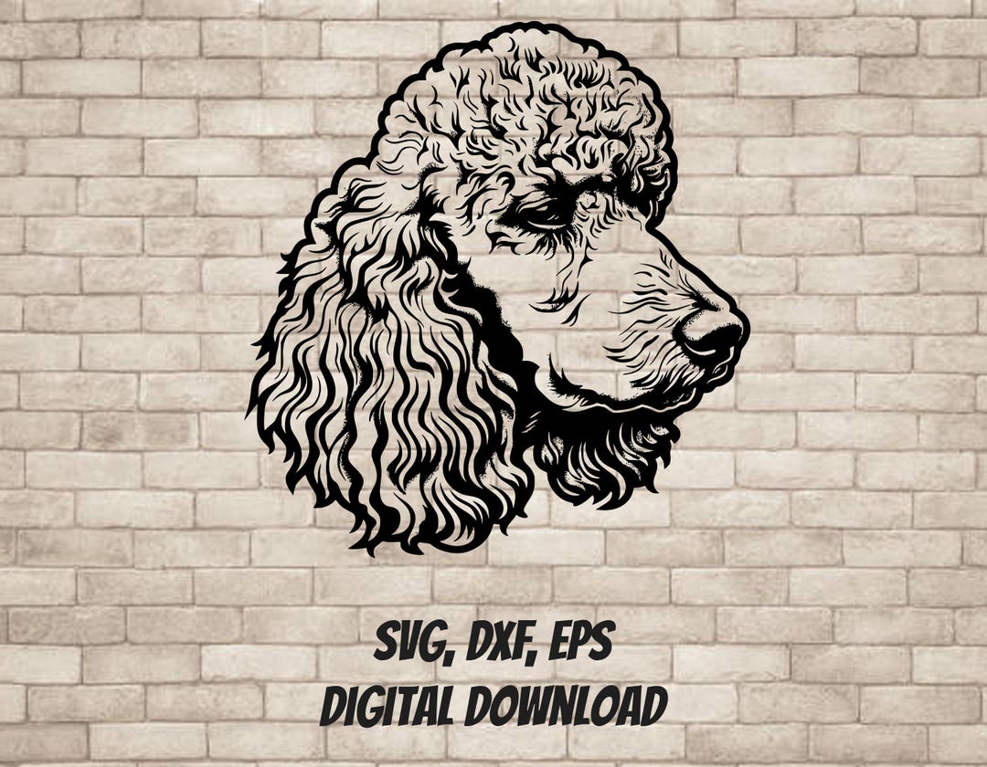 Intricate Poodle Head Illustration SVG Design File - Etsy