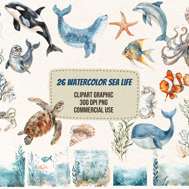 Sea Life Watercolor - Etsy