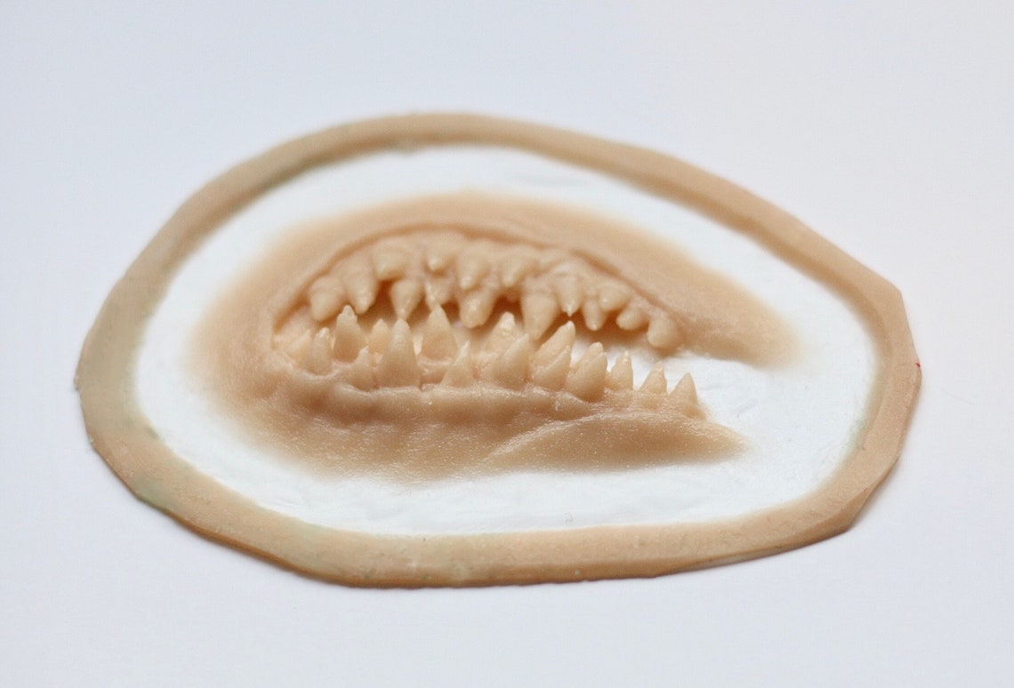 Creepy Mouth Prosthetic, IT Inspired, SFX Makeup, Silicone Appliance ...