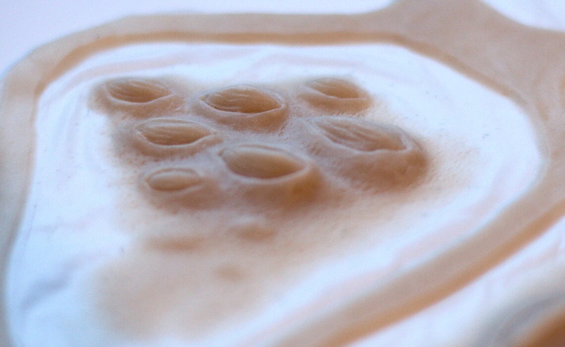 Alien Brow Forehead Prosthetic SFX Makeup Silicone - Etsy UK