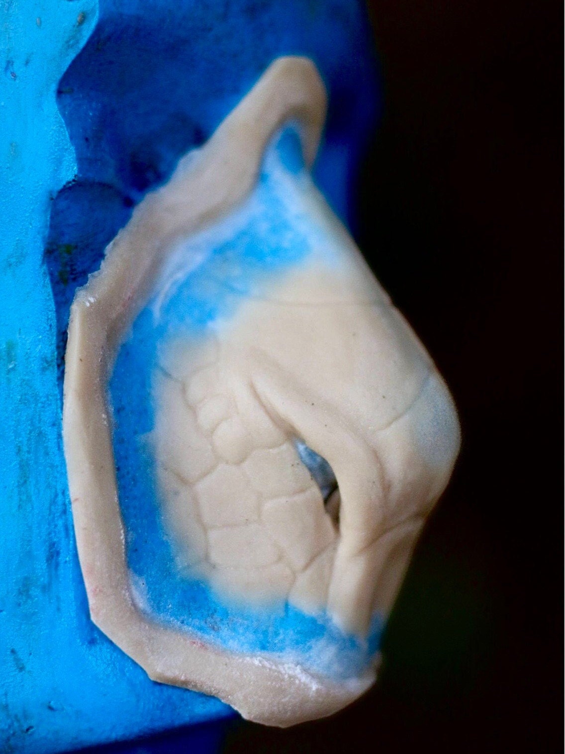 Snake Prosthetics Set, SFX Makeup, Silicone Appliance, Halloween ...