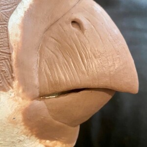 Beak Bird Nose Prosthetic, Encapsulated Silicone Prosthetic - Etsy