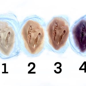 Cyborg Robot Cyberpunk Futuristic Prosthetic, SFX Makeup, Silicone ...