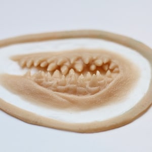 Creepy Mouth Prosthetic, IT Inspired, SFX Makeup, Silicone Appliance ...
