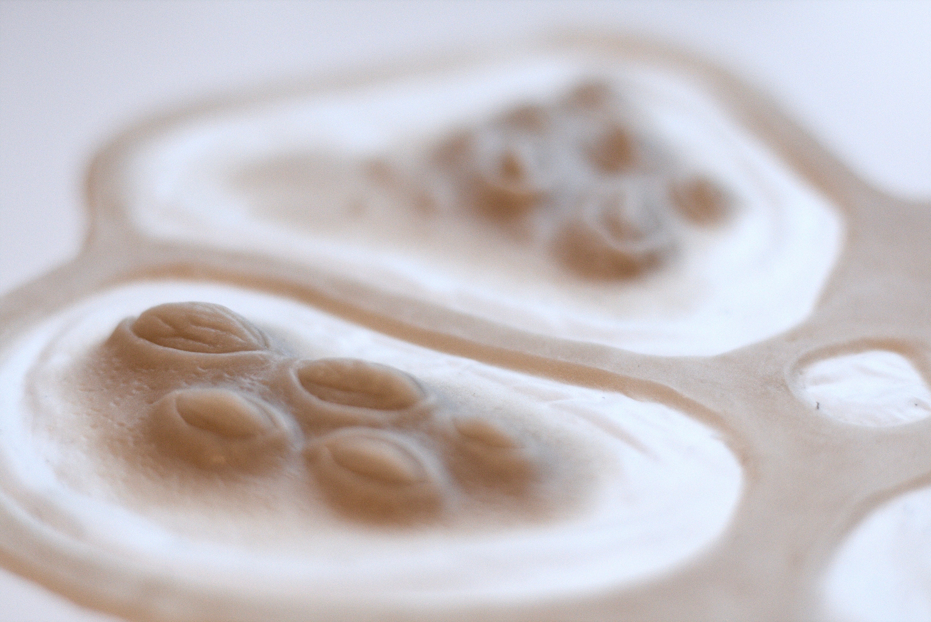 Alien Prosthetic SFX Makeup Silicone Appliance Halloween - Etsy UK