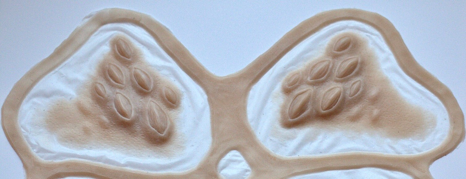 Alien Brow Forehead Prosthetic SFX Makeup Silicone - Etsy UK