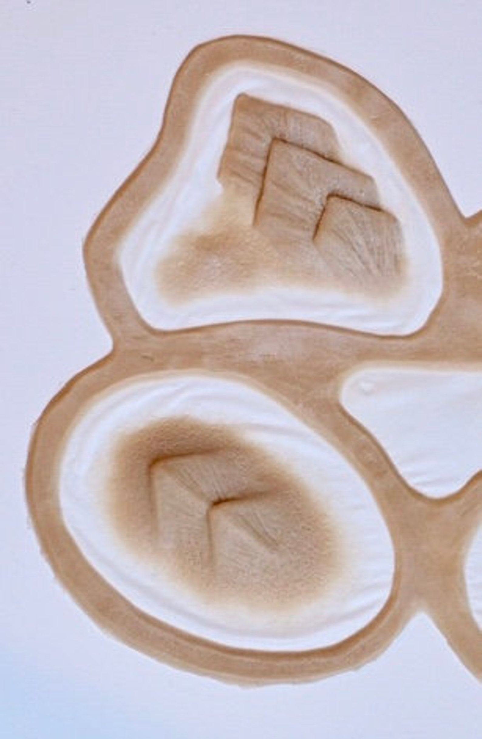 Mermaid Half Face Scale Prosthetics Silicone Encapsulated - Etsy