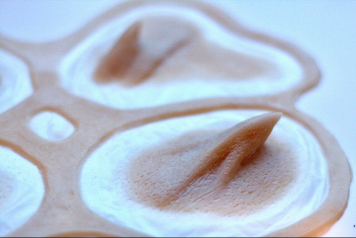 Alien Cheekbones Forehead and Chin Prosthetic SFX Makeup | Etsy