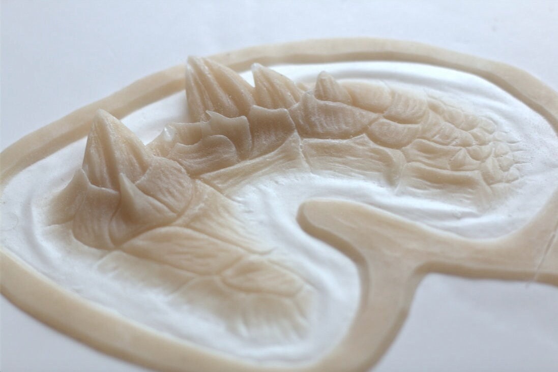 Dragon Prosthetics Set SFX Makeup Silicone Appliance - Etsy