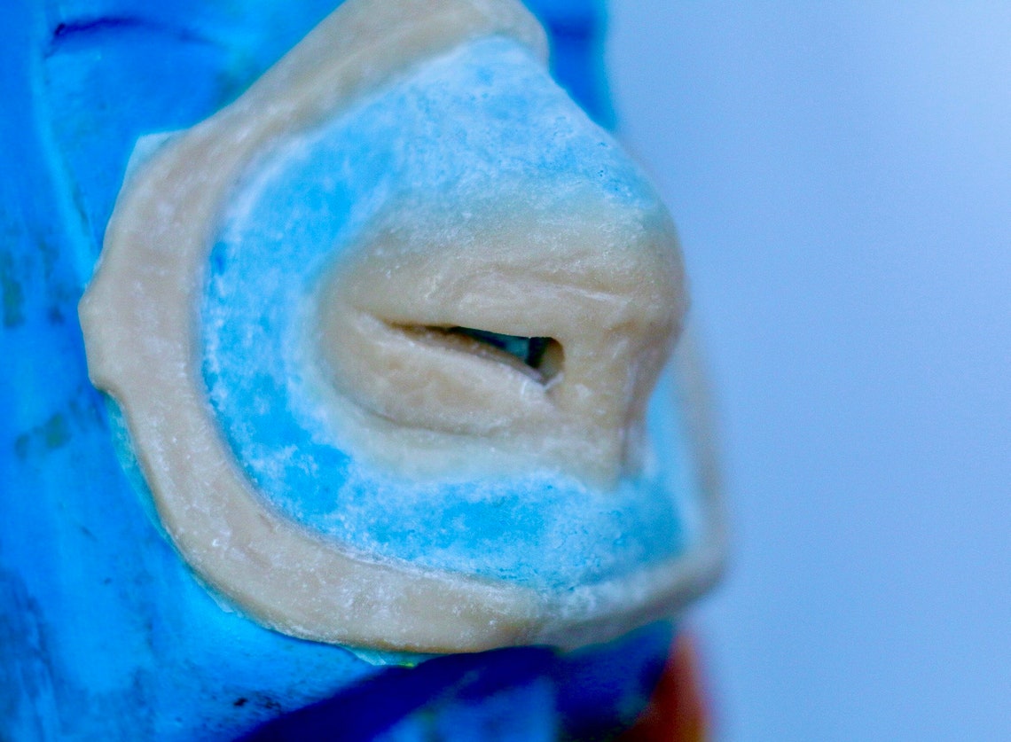 Cat Lion Nose Prosthetic SFX Makeup Silicone Appliance - Etsy