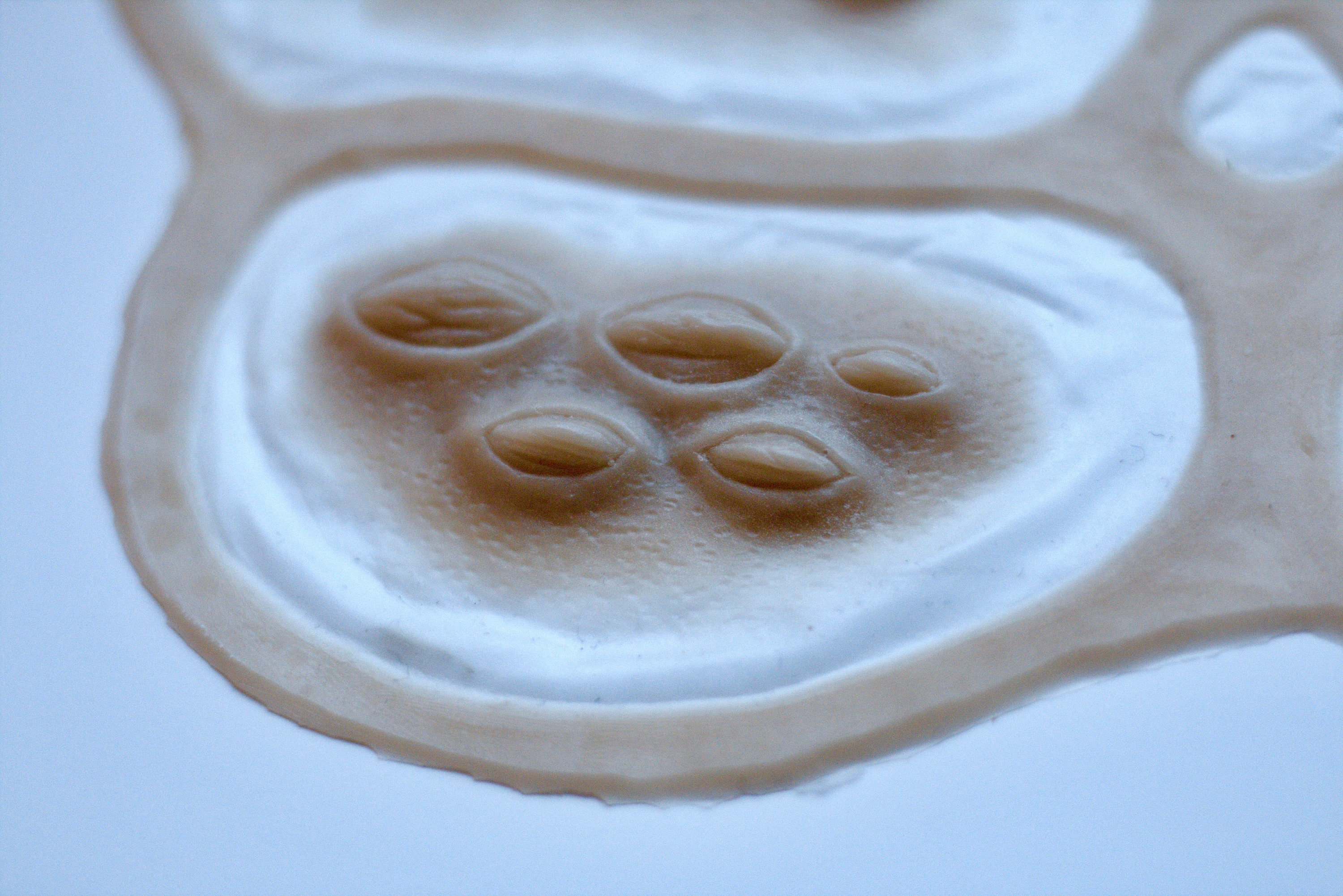 Alien Cheeks Cheekbone Prosthetic SFX Makeup Silicone | Etsy