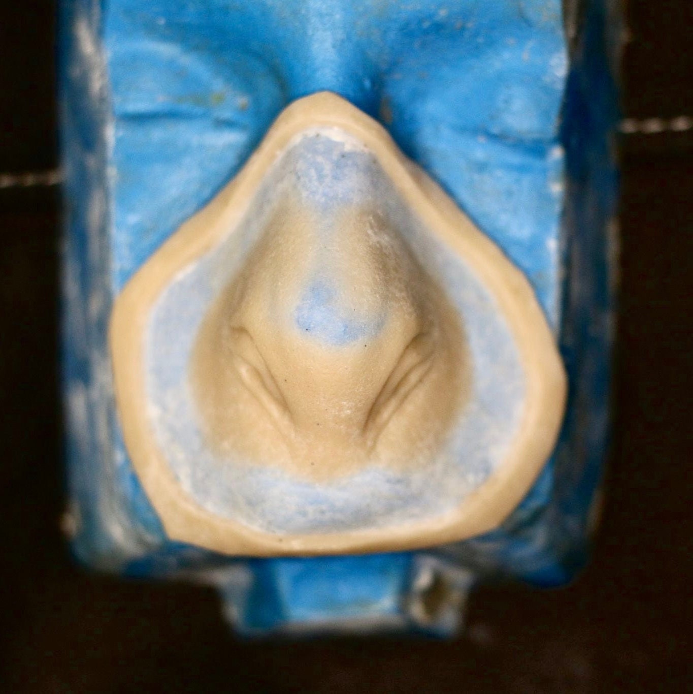 Alien Scifi Nose Prosthetic Encapsulated Silicone Prosthetic - Etsy