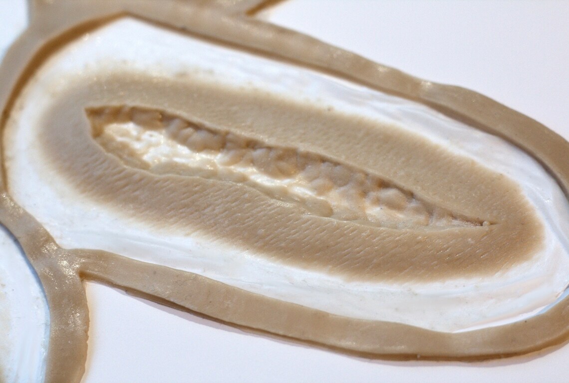 Prosthetic Wounds Injury/cut Set Encapsulated Silicone - Etsy