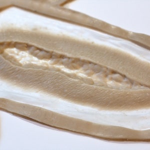 Prosthetic Wounds Injury/cut Set, Encapsulated Silicone Prosthetics ...